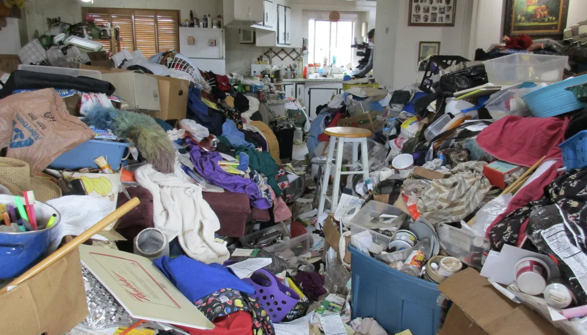 Hoarding in Condominiums: When Individual Rights Clash with Community ...